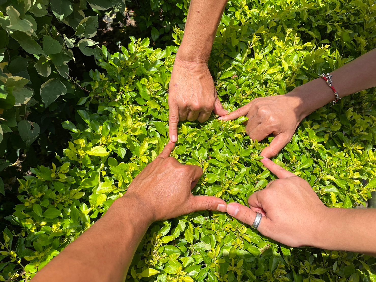 MFCGが国際協力NGOセンター（JANIC）に入会しました – ミャンマー ファミリー・クリニックと菜園の会